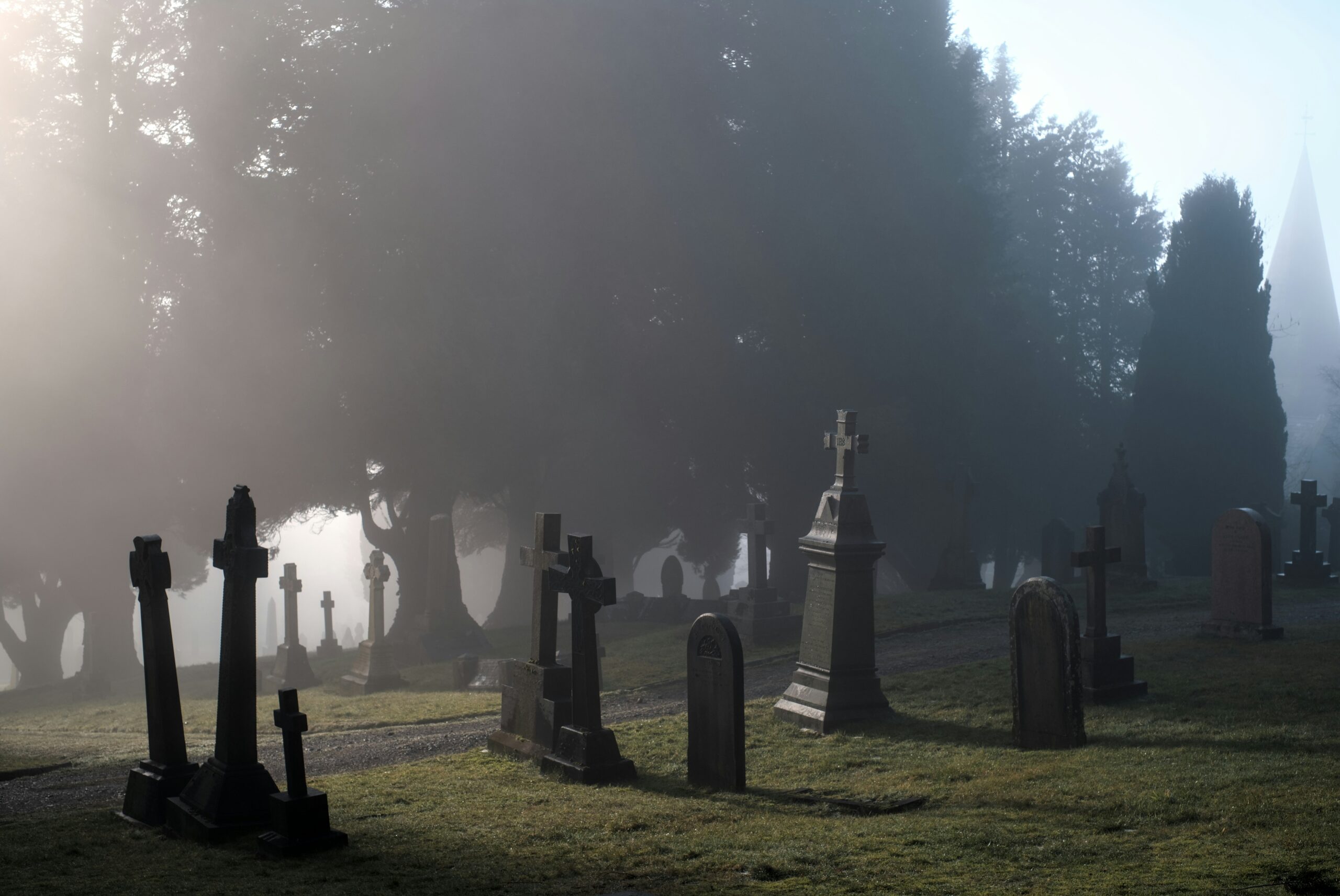ACCEPTING DEATH? – Homily on the Spot